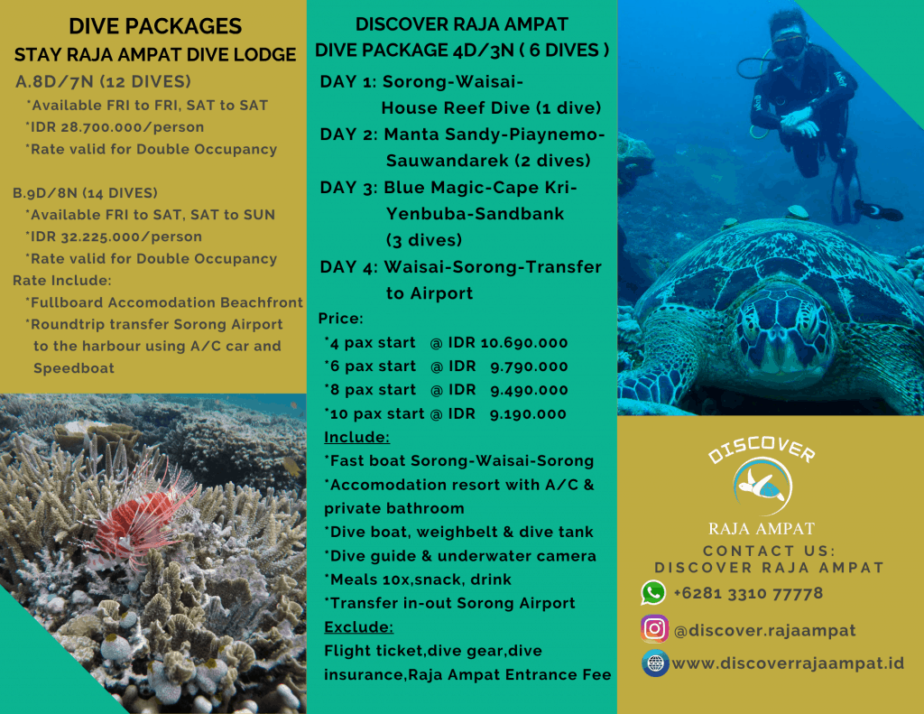 Paket Tour | Discover Raja Ampat